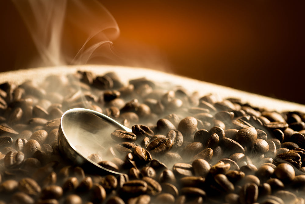 Master the Art of Coffee Roasting – Dolo Cafe Supplies