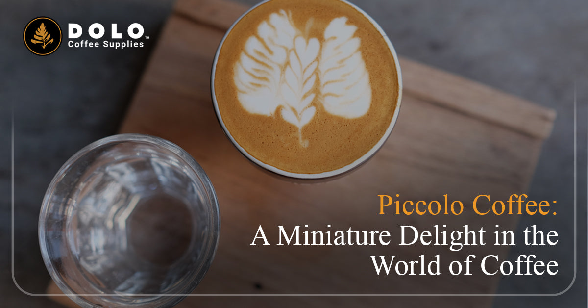 Piccolo Coffee: A Petite Delight in the World of Java – Dolo Cafe Supplies